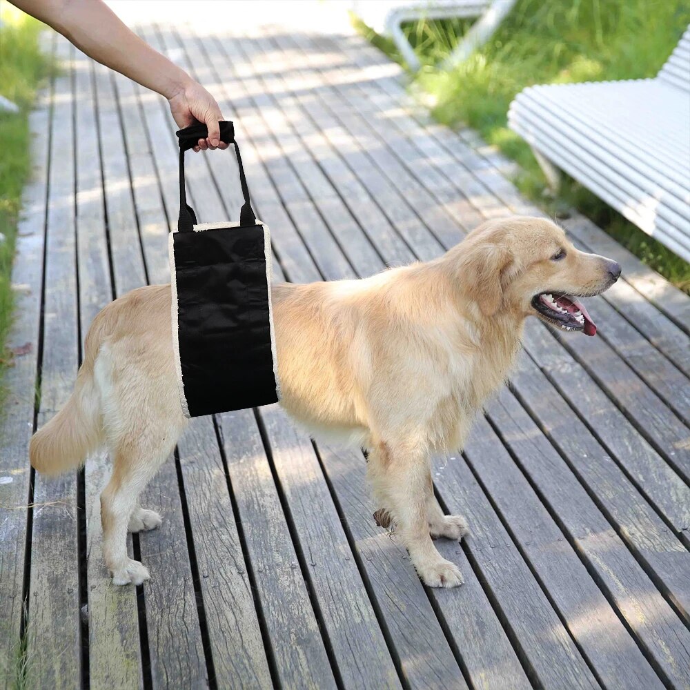 PawEase Mobility Sling – Healthy Lab Co